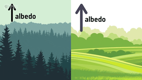 Albedos GIFs - Get the best GIF on GIPHY