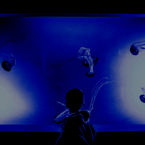 Strobe Lighting GIFs - Get the best GIF on GIPHY