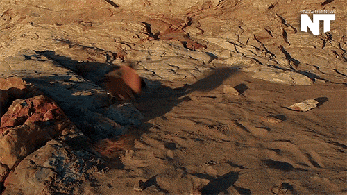 Unmanned-exploration-vehicle GIFs - Get the best GIF on GIPHY