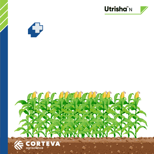 Biológicos GIFs on GIPHY - Be Animated