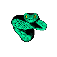 Happy Snake Gif