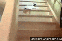People Falling Down Gif