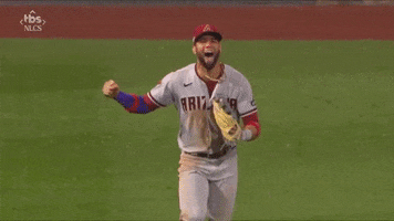 Arizona Diamondbacks GIFs on GIPHY - Be Animated