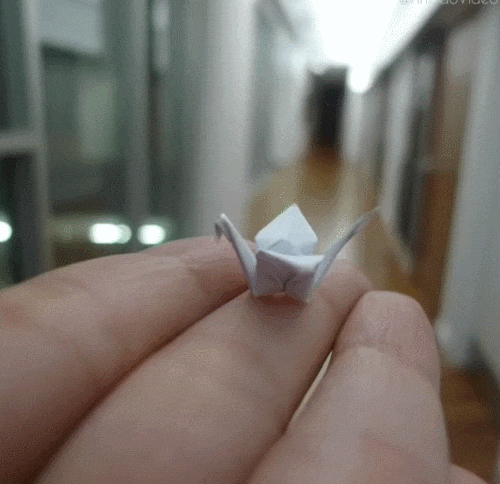 Tobiichi Origami GIFs - Get the best GIF on GIPHY