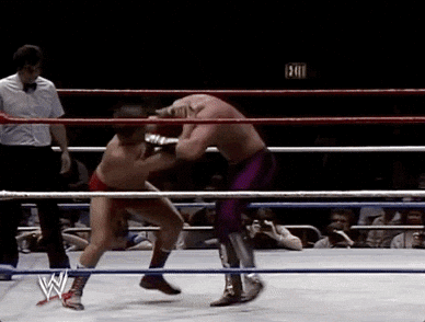 Brutus Beefcake Sport GIF by WWE - Find & Share on GIPHY