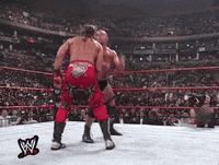 Stone Cold Stunner Gif