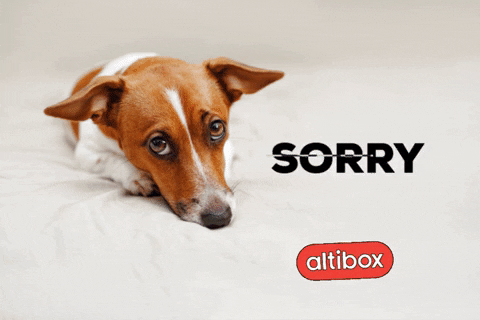 Sorry Dog Gif