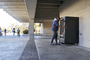 Frito-Lay GIFs on GIPHY - Be Animated