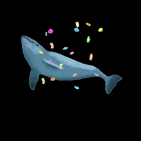 CCB GIF - Find & Share on GIPHY
