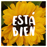 Estas Bien Pendejo GIFs - Find & Share on GIPHY