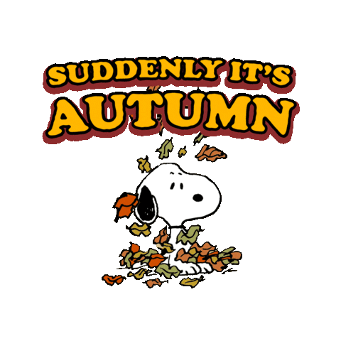 NEW Peanuts Stickers! by Peanuts | GIPHY