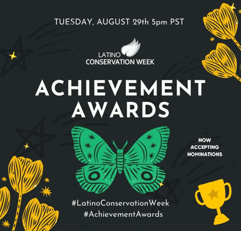 Accept-nomination GIFs - Get the best GIF on GIPHY