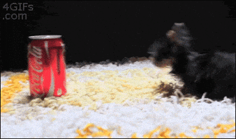 Coke GIFs - Find & Share on GIPHY