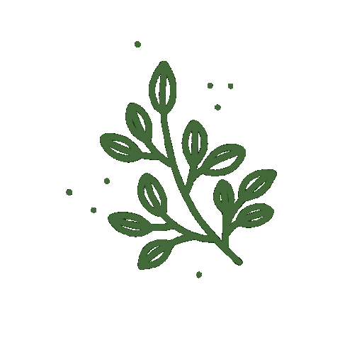 Leaf Daun Sticker for iOS & Android | GIPHY