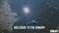 Welcome-to-the-swamp GIFs - Get the best GIF on GIPHY