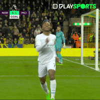 Soccer Player Gif