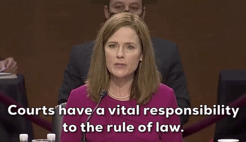Courts-have-a-responsibility-to-the-rule-of-law GIFs - Get the best GIF ...