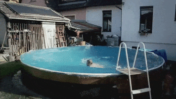 Instagram Vs Real Life GIFs - Find & Share on GIPHY