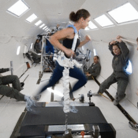 Faster-higher-stonger GIFs - Get the best GIF on GIPHY