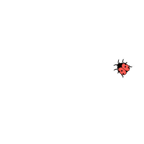 Ladybug Flying Gif