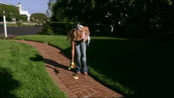 Laguna Beach GIFs on GIPHY - Be Animated