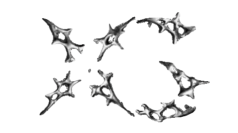 XG Official GIFs on GIPHY - Be Animated