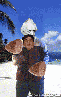 Honey Baked Ham GIFs - Find & Share on GIPHY