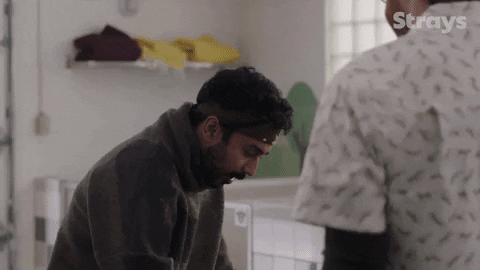 Balance GIF by Strays - Find & Share on GIPHY