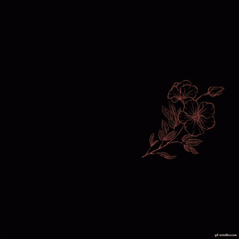 Flower Nature Wallpaper Gif