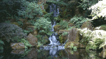 Waterfall GIFs - Find & Share on GIPHY