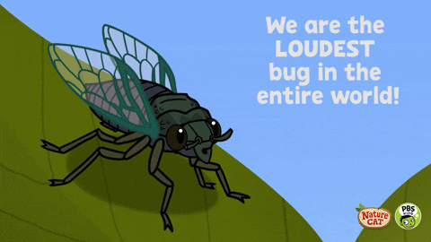 Winter Cicada Gif