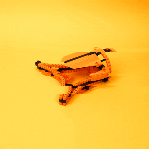 Speed Build GIFs - Get the best GIF on GIPHY