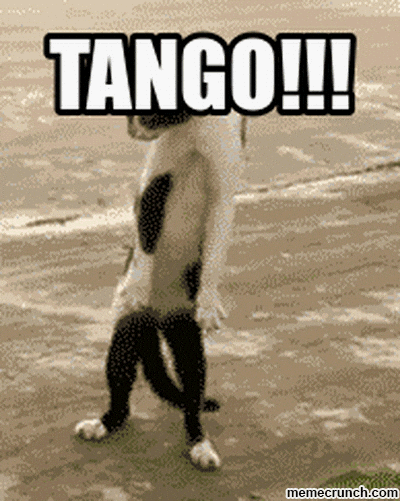 Tango GIFs - Find & Share on GIPHY