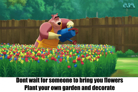 Pirki GIFs - Get the best GIF on GIPHY