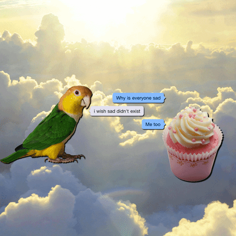 Sad-parrot GIFs - Get the best GIF on GIPHY