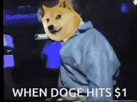 Doge Intensifies Gif