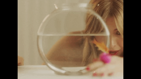My-fishbowl GIFs - Get the best GIF on GIPHY