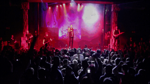 Concert GIF - Find & Share on GIPHY