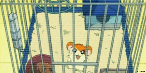 Ham-ham-heartbreak GIFs - Get the best GIF on GIPHY