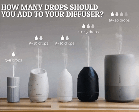 Clean-team GIFs - Get the best GIF on GIPHY