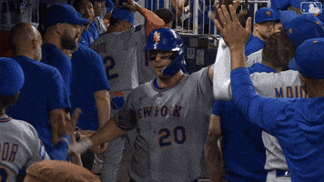 New York Mets GIFs on GIPHY - Be Animated