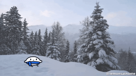Snow GIF - Find & Share on GIPHY