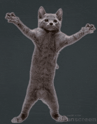 Happy Dancing Cat Gif