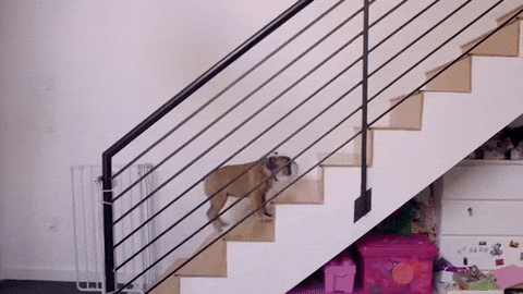 Running Workout GIFs - Get the best GIF on GIPHY