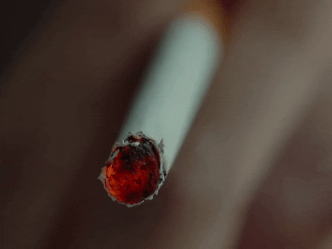 Cigarette GIF by Black Conflux - Find & Share on GIPHY