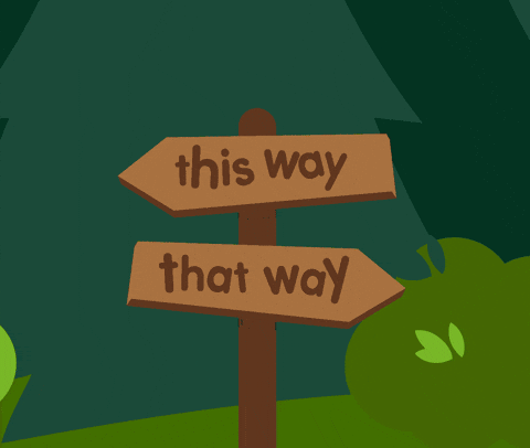 Which Way Did He Go GIFs Get The Best GIF On GIPHY
