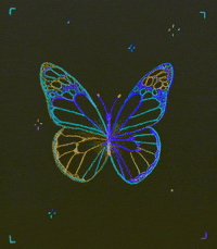 Animated Flying Butterfly Gif
