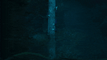 Never Let Go GIFs on GIPHY - Be Animated