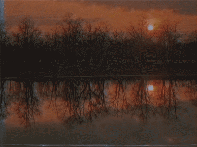 Vhs Edit GIFs - Get the best GIF on GIPHY