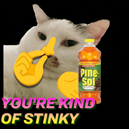 Pine-Sol GIFs on GIPHY - Be Animated